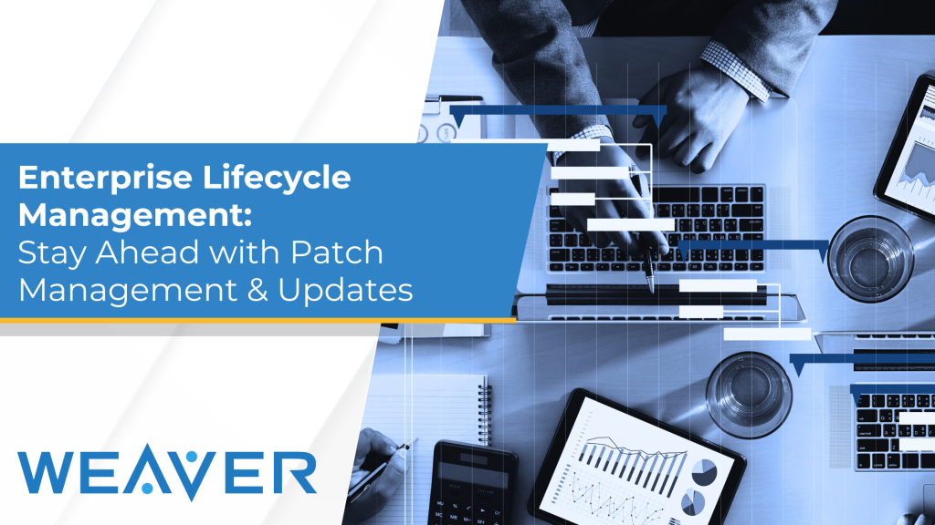 Enterprise Lifecycle Management: Patch Management & Updates